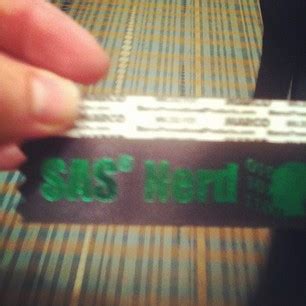 My SAS Global Forum SAS Users