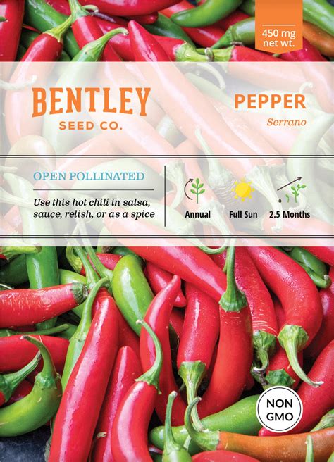 Pepper Serrano Seed Packets Bentley Seeds