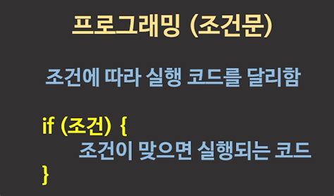 프로그래밍 조건문 조건에 따라 실행 코드를 달리함