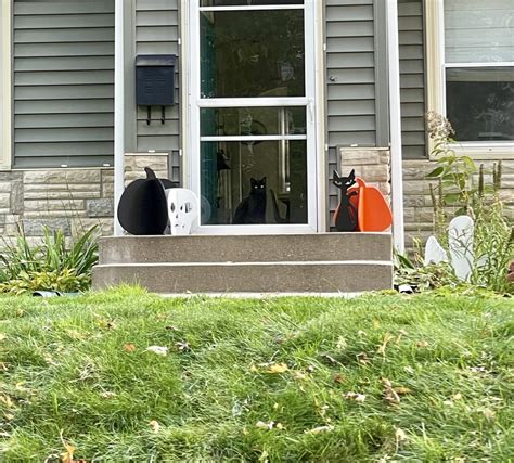 Oliver Knew The Assignment Rcats