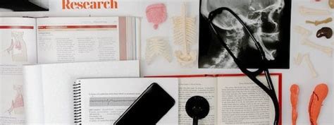 What Is The Importance Of Bioinformatics In Science What Is The Importance Of Bioinformatics In Science