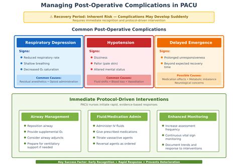 Pacu Nurse A Comprehensive Guide To Post Anesthesia Care Unit Nursing