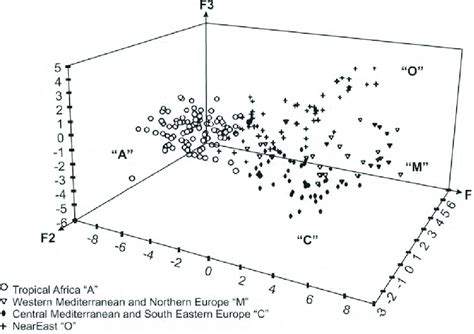 9 Spatial Allocation Of Groups Of Subspecies Resulting From A Download Scientific Diagram