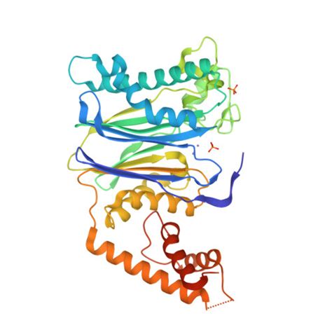 Rcsb Pdb 3fxo Crystal Structure Of Human Protein Phosphatase 1a Ppm1a Bound With Phosphate