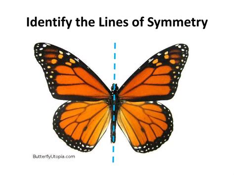 Symmetry Lines Reflection Rotation Pptx