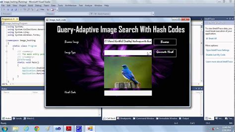 query adaptive image search using hash codes youtube