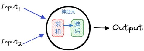 神经网络中神经元的权重更新 Csdn博客