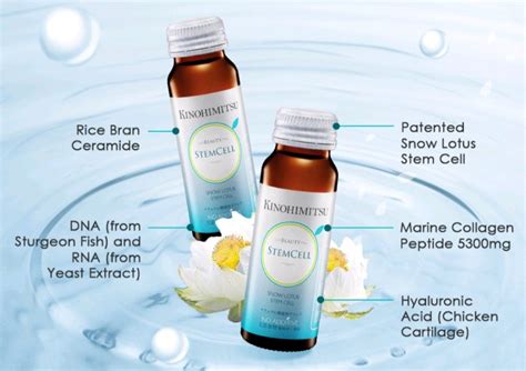 Kinohimitsu Stem Cell Starter Set 2 Health And Nutrition Health