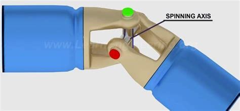 Universal Joint Animation