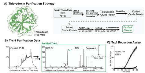Folding Selection Of Thioredoxin Without Chromatography A A Download Scientific Diagram
