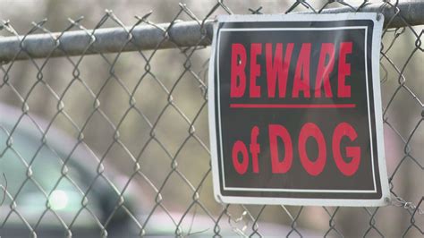 Pseudonym Program For Reporting Dangerous Dogs Proposed To Curb Fear
