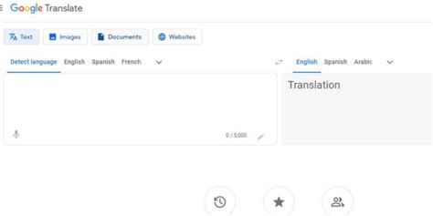 How to Use Google Translate in South Africa?
