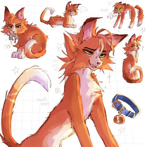 46 Warrior Cats Fan Art Ideas In 2025