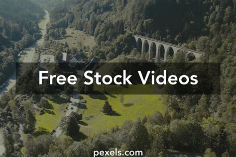 Forest Engineering Videos Download The Best Free 4k Stock Video Footage And Forest Engineering Hd