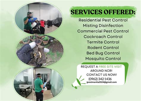 Terminators Terminators Termite And Pest Management