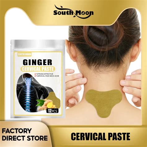 South Moon Ginger Patch Ginger Detoxification Patch Ginger
