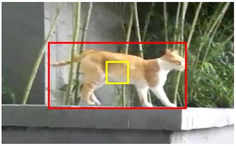 Attention And Pixel Matching In Rgb T Object Tracking