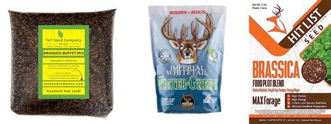 Top 5 Brassicas For Deer Your Hunting Food Plot Guide