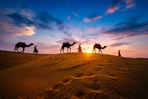 Desert Safaris Armani Hotels And Resorts