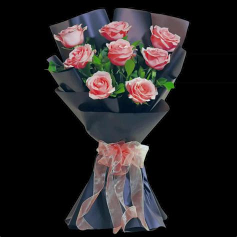 Black Bookey Png Image Pngmark