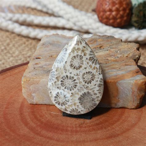 Fossilized Coral Cabochon Coral Cabochon Beautiful Pattern Etsy