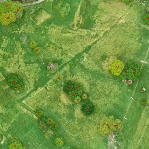 Application Of Tree Enumeration Object Detection Dataset And Pre Trained Model By Tanmayckfcrit