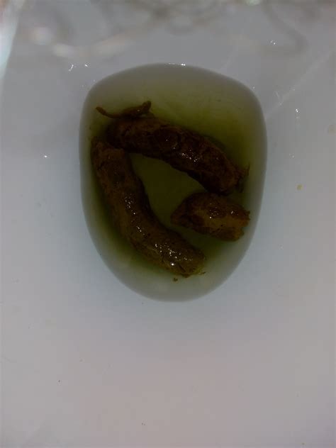 Gay Cagando Thisvid Com