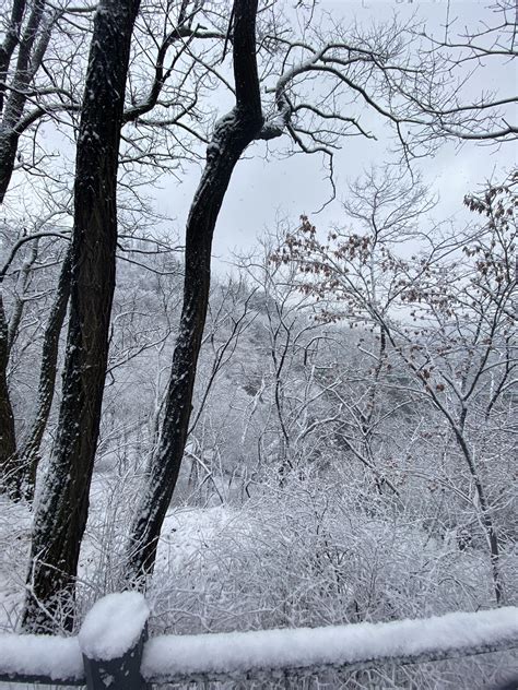저는 신용불량자라 대출을 받을 수도 없는 상황인데 대학교 등록금을 지원받을 방법을 알려주세요