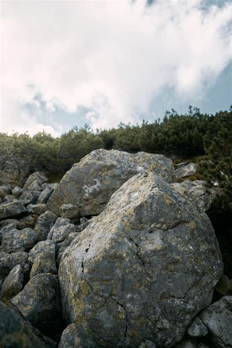 Ein Einzelner Großer Felsen Im Wald Konzept Der Unberührten Natur In