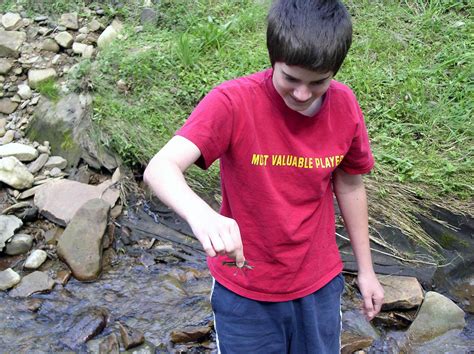 Summer Fun 6 Free Photo Download Freeimages