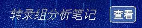 Docker 一键式部署方案丨 Linux服务器中安装配置指定版本R以及Rstudio server 阿里云开发者社区