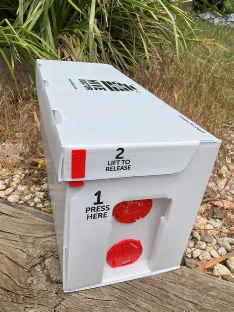 Nucleus Of Bees Adelaide Bee Sanctuary