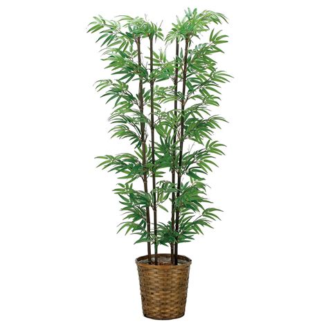 ハストネット公式サイト