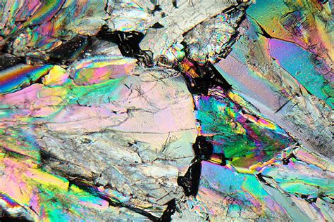 Cholesterol Crystals Under The Microscope Metabolism Biosynthesis