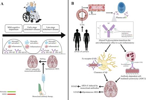 Amyloid‐related Imaging Abnormality Aria Beyond The Apoe‐ε4 Allele Besin Chronic Diseases