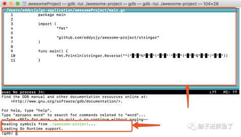 学会使用 Gdb 调试 Go 代码 Csdn博客