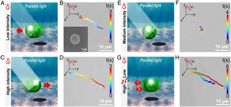 Schematic Illustration And The Corresponding Representative Trajectory Download Scientific