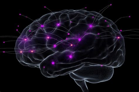 Ai Memory Mirrors Human Brain Neuroscience News