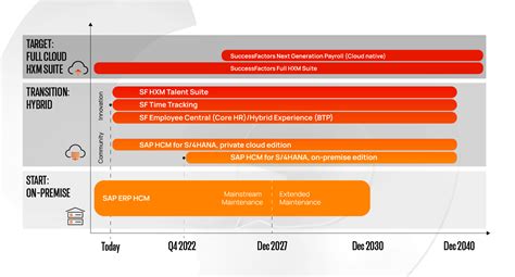 sap hcm for s 4hana and hxm and transformation hicron