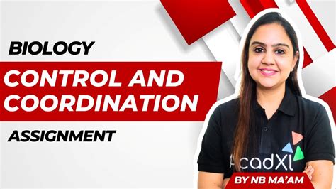 Control And Coordination Assignment 13 Nsejs Assignment Biology