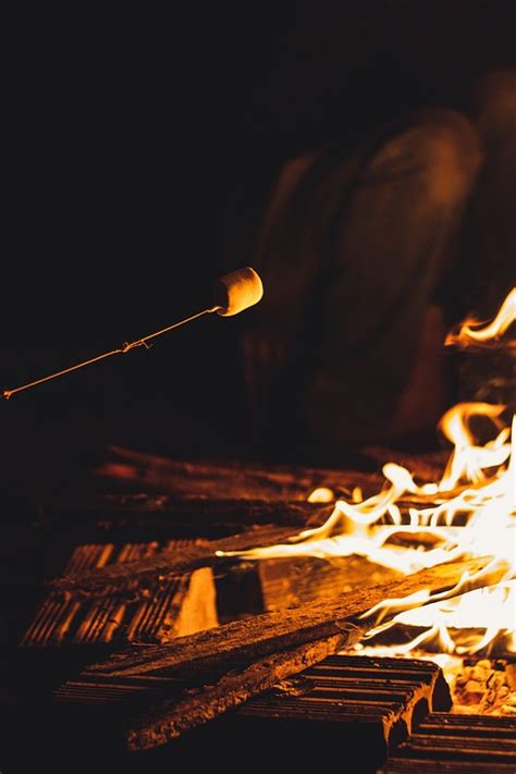 Marshmallow Api Unggun Foto Gratis Di Pixabay