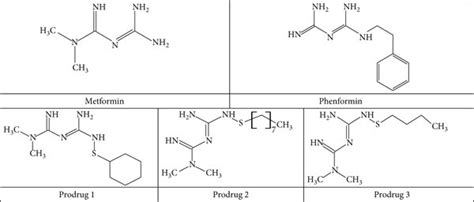 Chemical Structure Of Biguanide Derivatives Metformin Phenformin And Download Scientific