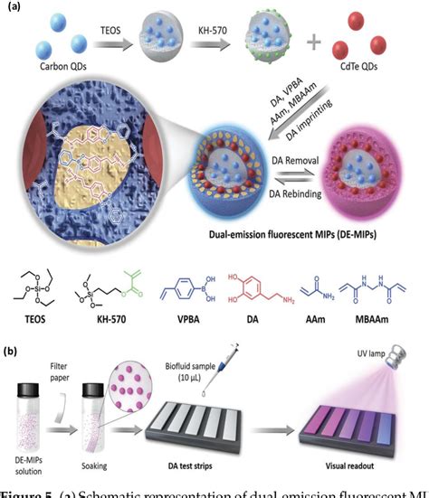Figure 1 From Molecularly Imprinted Polymer Based Biomimetic Systems