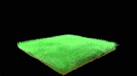 Grassy Video YouTube