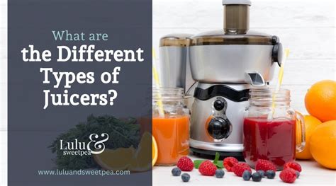 What Are The Different Types Of Juicers Lulu Sweet Pea