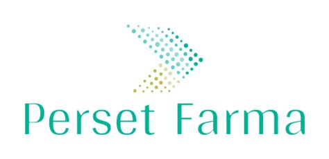 Tipos De Epilepsia Tratamientos Y Causas Perset Farma