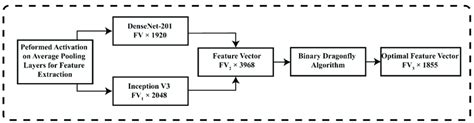 proposed feature optimization architecture download scientific diagram