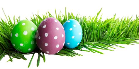 Row Of Easter Eggs In Grass Fresh Grass Hide Decoration Png