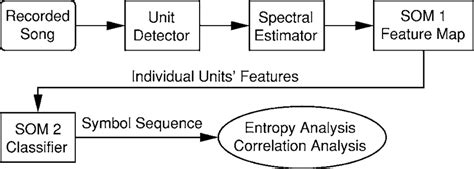 Block Diagram Of The Automated Classifier Analysis System For The Download Scientific Diagram